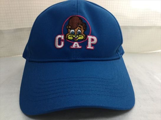 DWEブルーキャップに合格するために練習したこと｜ワールドファミリークラブ | おにぎりフェイス